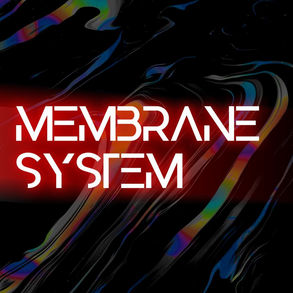 Tattoo Cartridges Canada – Matrix Cartridges